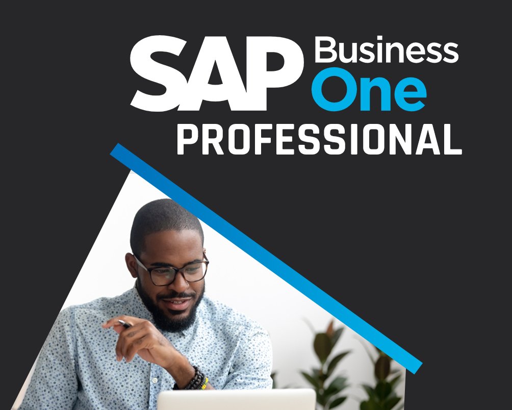 SAP-B1 BUSINESS ONE PROFESSIONAL – GESTÃO DE PEQUENAS EMPRESAS – EstudeSAP